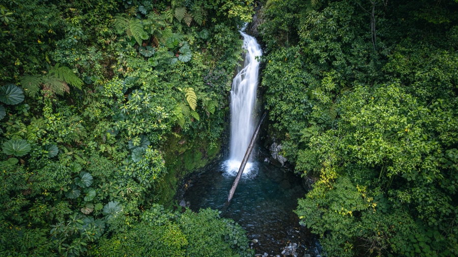 Costa Rica Farms for Sale | Find Your Dream Farm in the Tropical Paradise