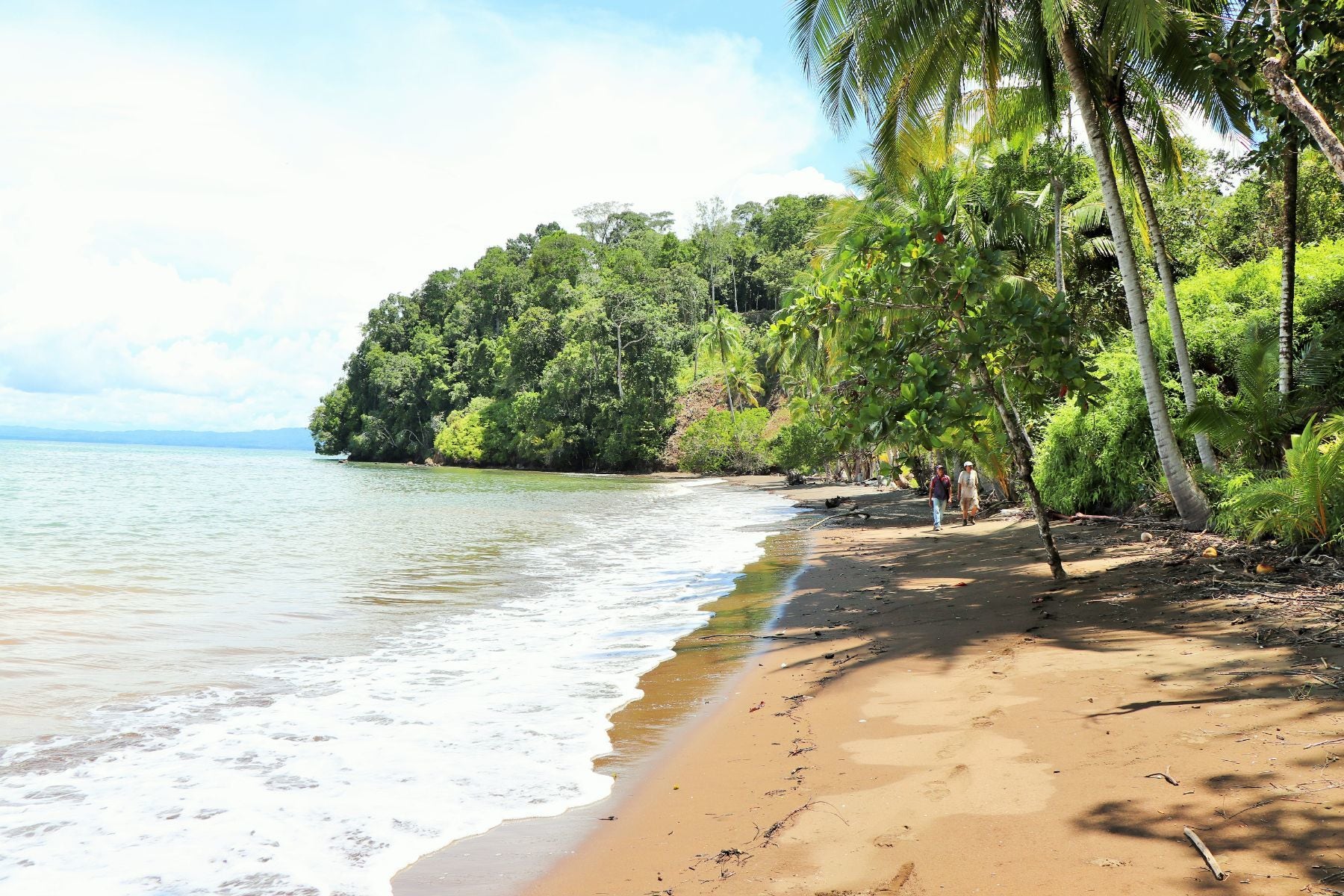 Natural Masterpiece, Ojochal, Dominical, Piedras Blancas, Osa ...
