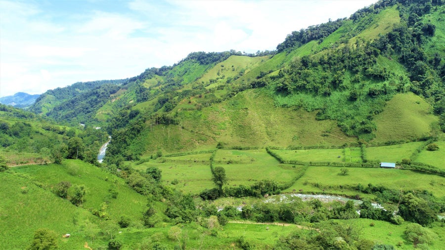 Costa Rica Farms for Sale | Find Your Dream Farm in Paradise