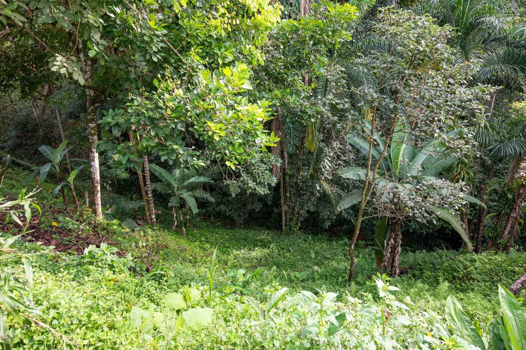 Small Affordable Home In Villa Nueva, Manuel Antonio, Quepos ...