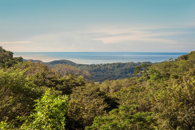 Todd Cutter | Costa Rica Real Estate Broker