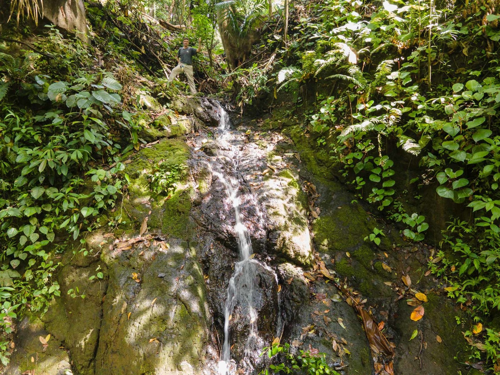 Waterfall Ocean view Gated Community Of Las Palmas, Quepos, Manuel ...