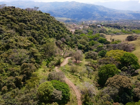 Costa Rica Farms for Sale | Find Your Dream Farm in the Tropical Paradise