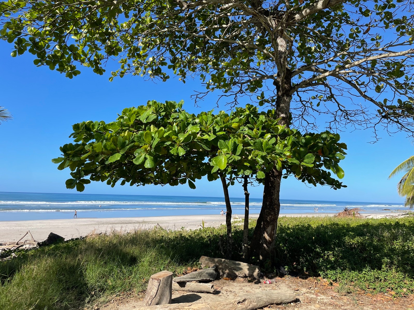 Beachfront Concession With Commercial And Residential Zoning, Santa ...