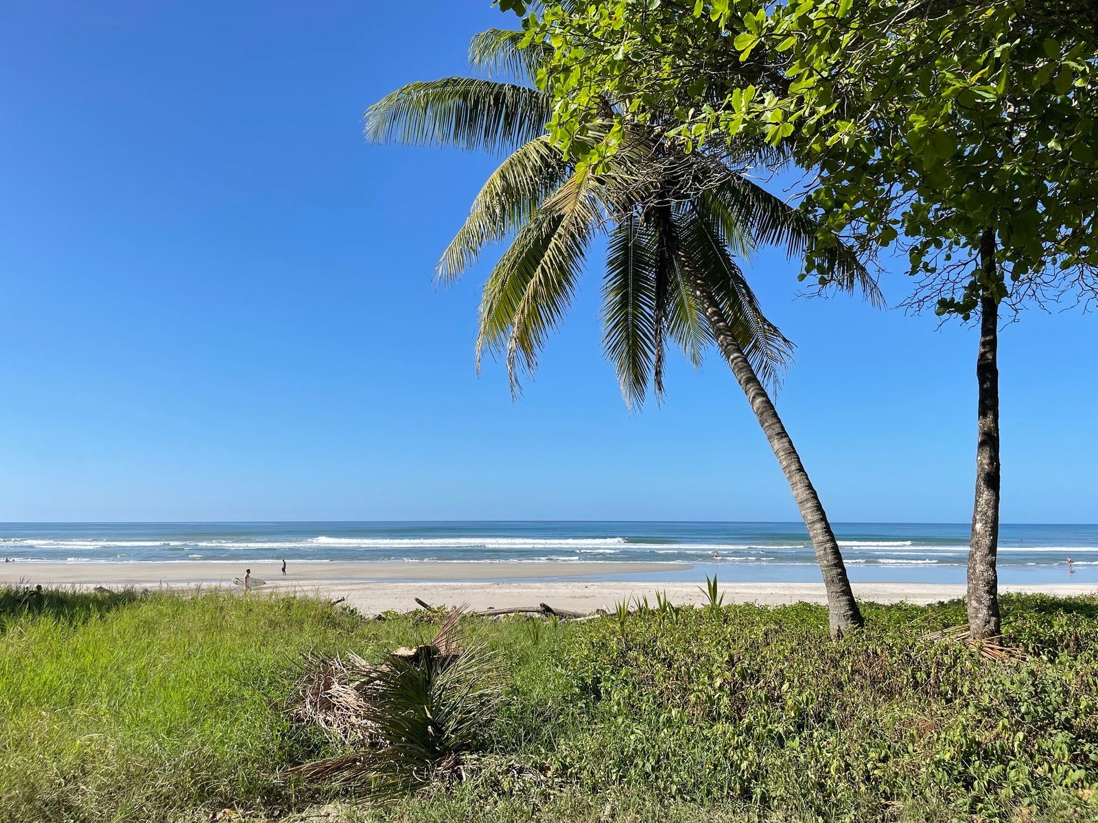 Beachfront Concession With Commercial And Residential Zoning, Santa ...