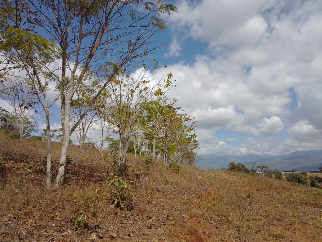 Beautiful Mountain View Property On 8+ Acres, San Isidro del General ...