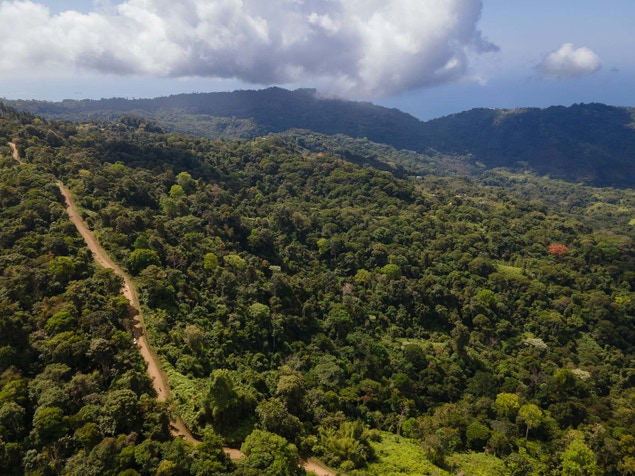 Costa Rica Farms for Sale | Find Your Dream Farm in the Tropical Paradise