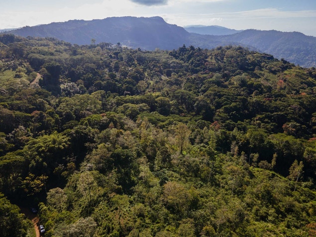 Costa Rica Farms for Sale | Find Your Dream Farm in the Tropical Paradise