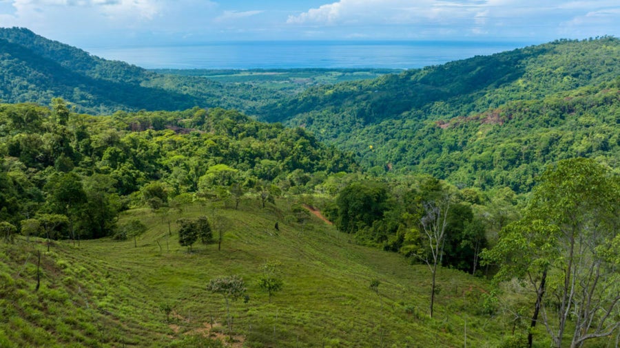 Costa Rica Farms for Sale | Find Your Dream Farm in the Tropical Paradise