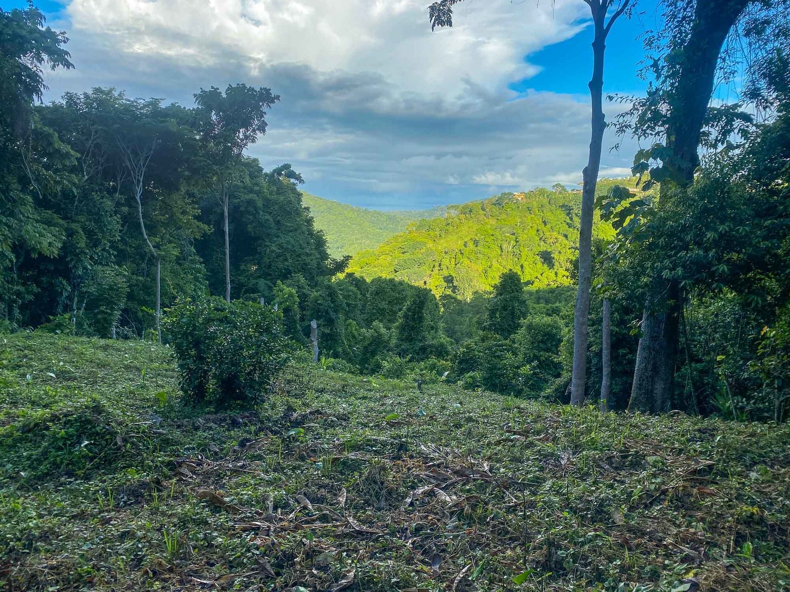 Platanillo de Baru Colinas Pacificas Platanillo, Platanillo, Dominical ...