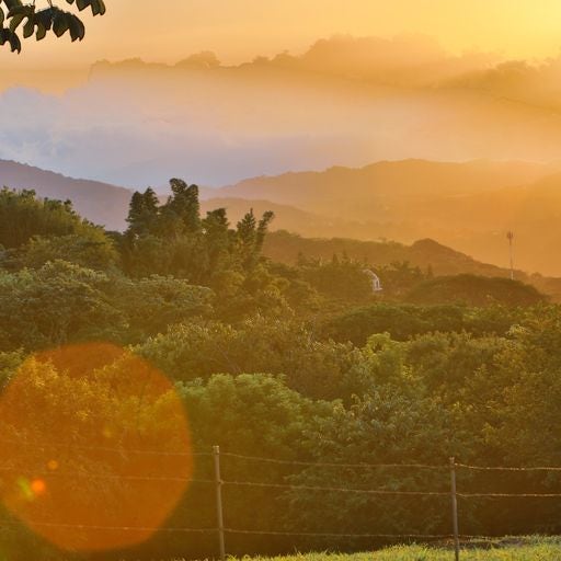 Rachel Candib | Costa Rica Real Estate Agent