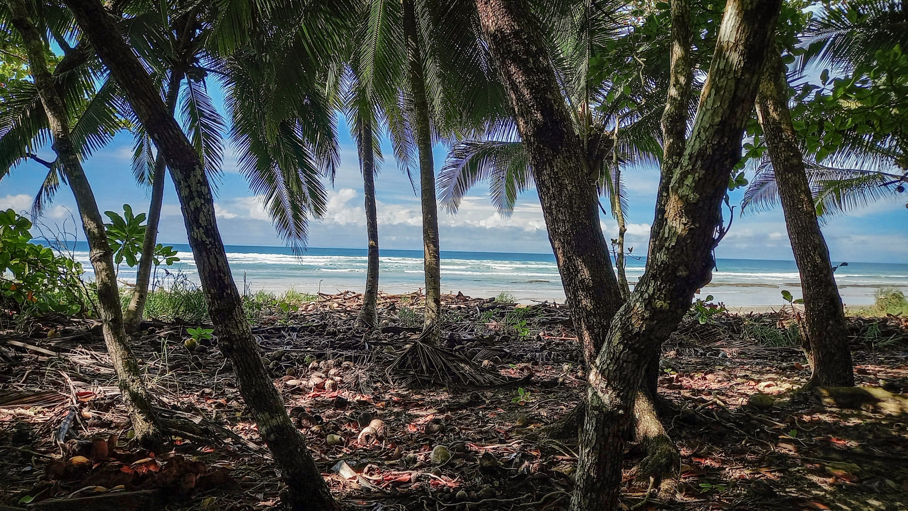 Beachfront In Playa Hermosa, Playa Hermosa, Santa Teresa, Cobano ...