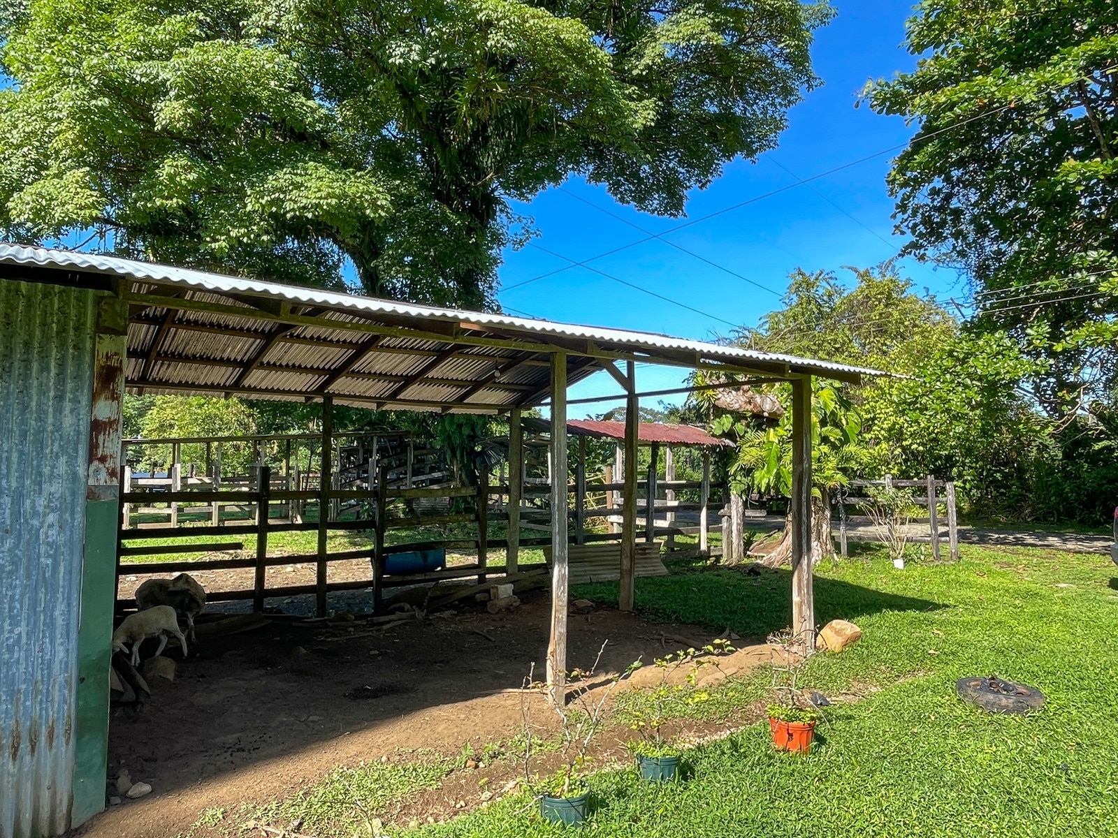 Farm Ranch With Natural Views, Londres, Manuel Antonio, Naranjito ...