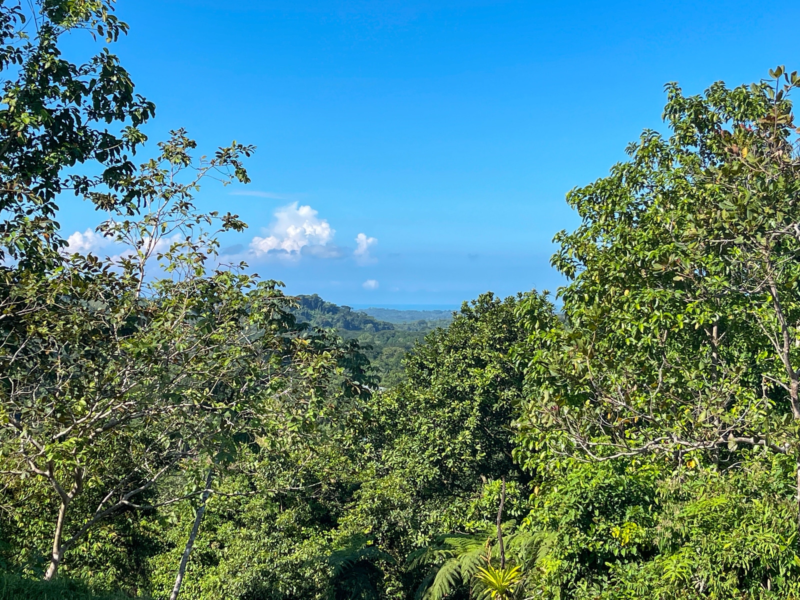 Farm Ranch With Natural Views, Londres, Manuel Antonio, Naranjito ...