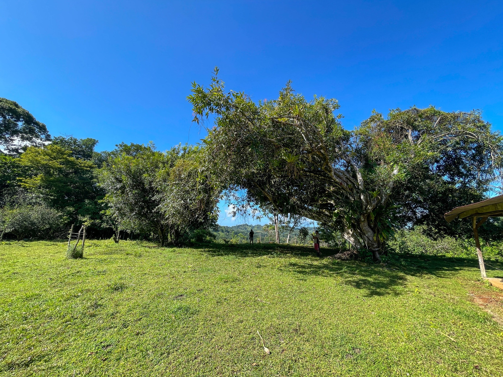 Farm Ranch With Natural Views, Londres, Manuel Antonio, Naranjito ...
