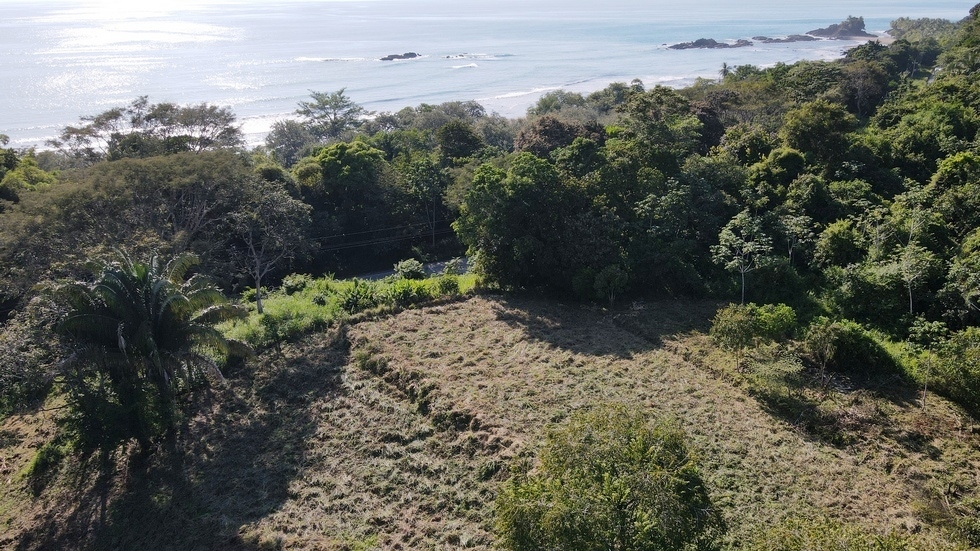 Ocean Front Row Property, Dominicalito, Dominical, Bahia Ballena, Osa, Puntarenas, Costa Rica ...