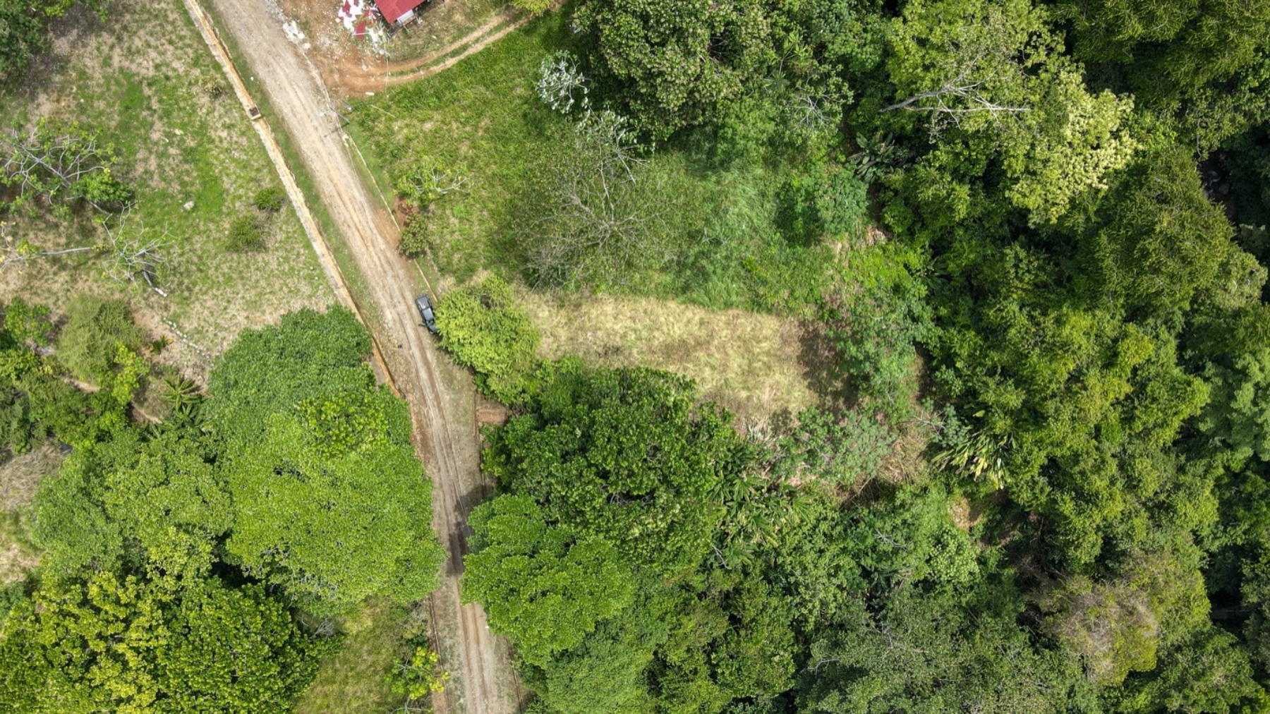 Jungle Lot In Gated Community, #E6, Ojochal, Bahia Ballena, Osa ...