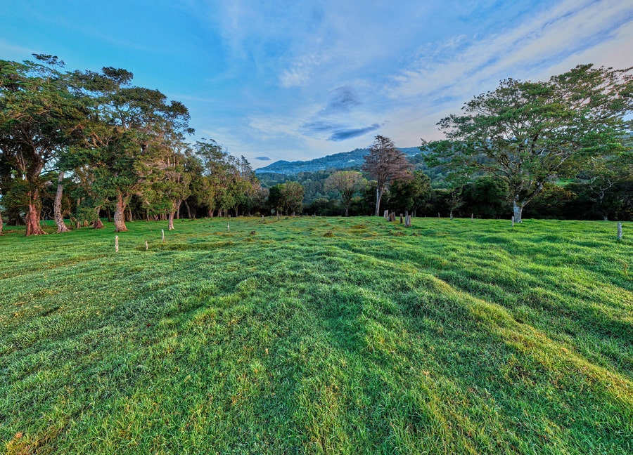 Costa Rica Farms for Sale | Find Your Dream Farm in the Tropical Paradise
