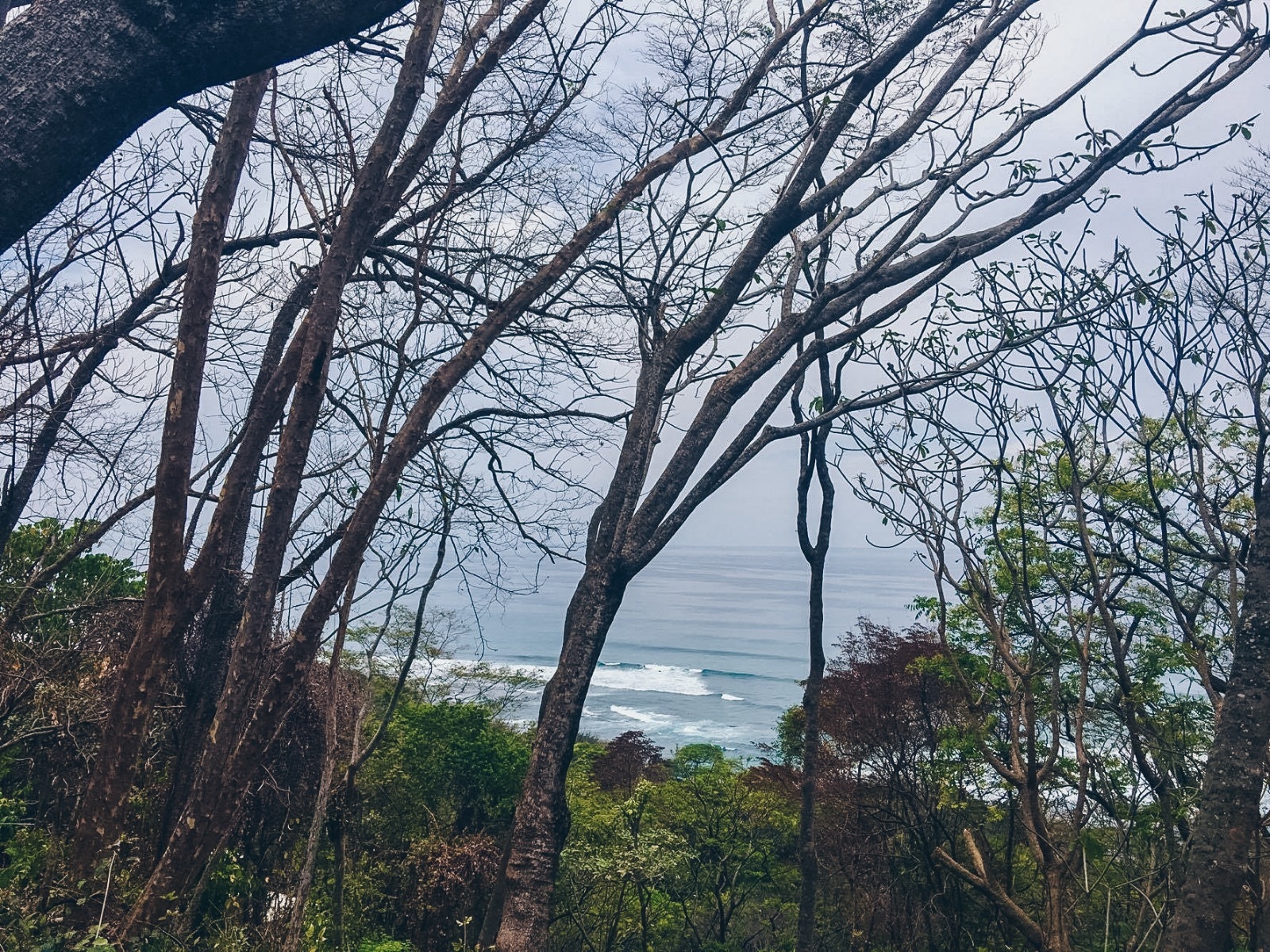 Prime Location North Santa Teresa Ocean View Lot, Santa Teresa, Cobano ...