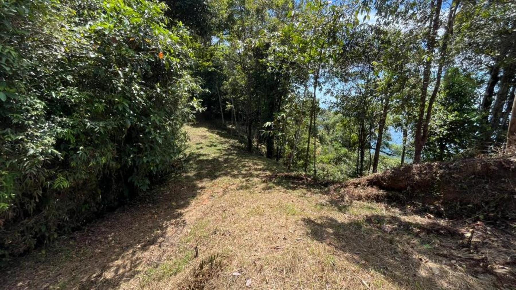 Spectacular Ocean & Waterfall View Land In Escaleras, Dominical, Osa ...