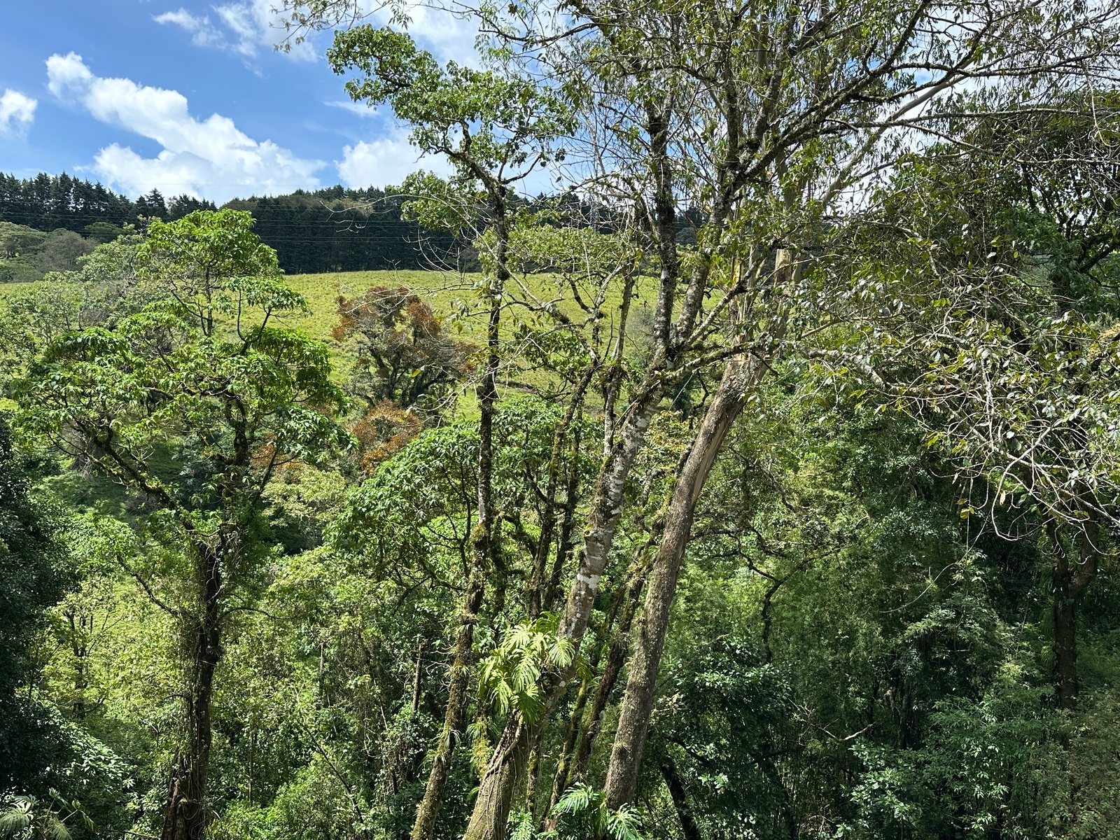 Amazing Lots In The Mountains Of Tres Rios, Cartago Central, San Ramon ...