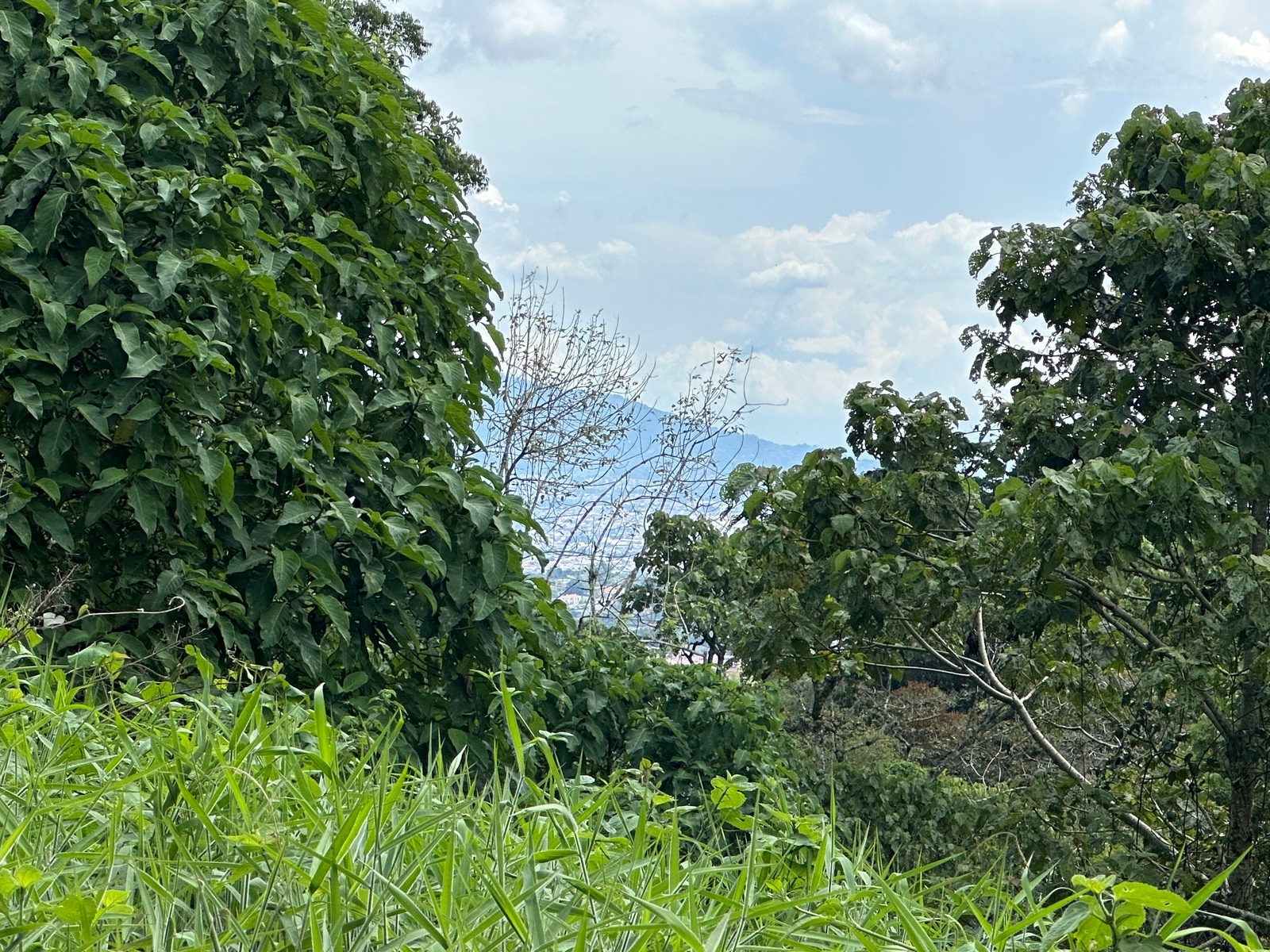 Amazing Lots In The Mountains Of Tres Rios, Cartago Central, San Ramon ...