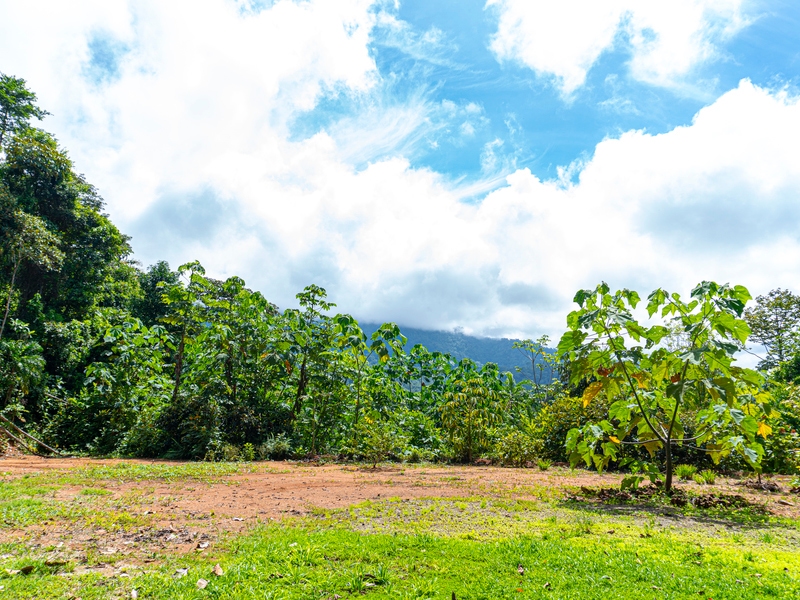 Tierra Del Ceibo 3 Acres Jungle Land For Sale With Mountain View Lot 5 ...