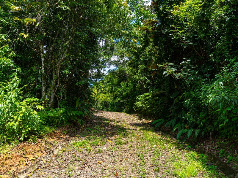 Tierra Del Ceibo 3 Acres Jungle Land For Sale With Mountain View Lot 5 ...