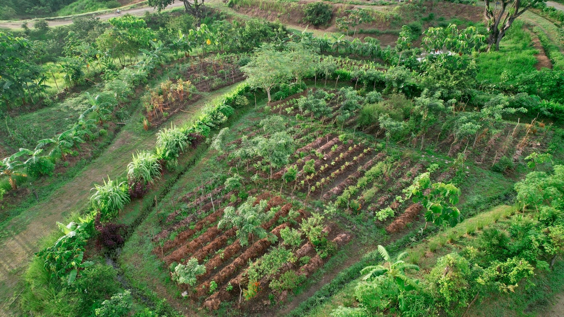 Ocean View Lots At The Ark, The Ark, Santa Teresa, Cobano, Puntarenas ...