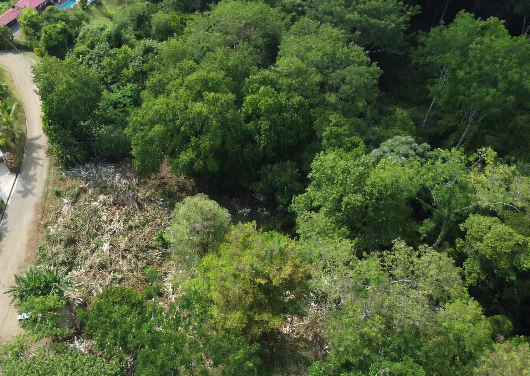 One Acre Build Ready Lot In Lush Jungle Setting, Ojochal, Bahia Ballena ...