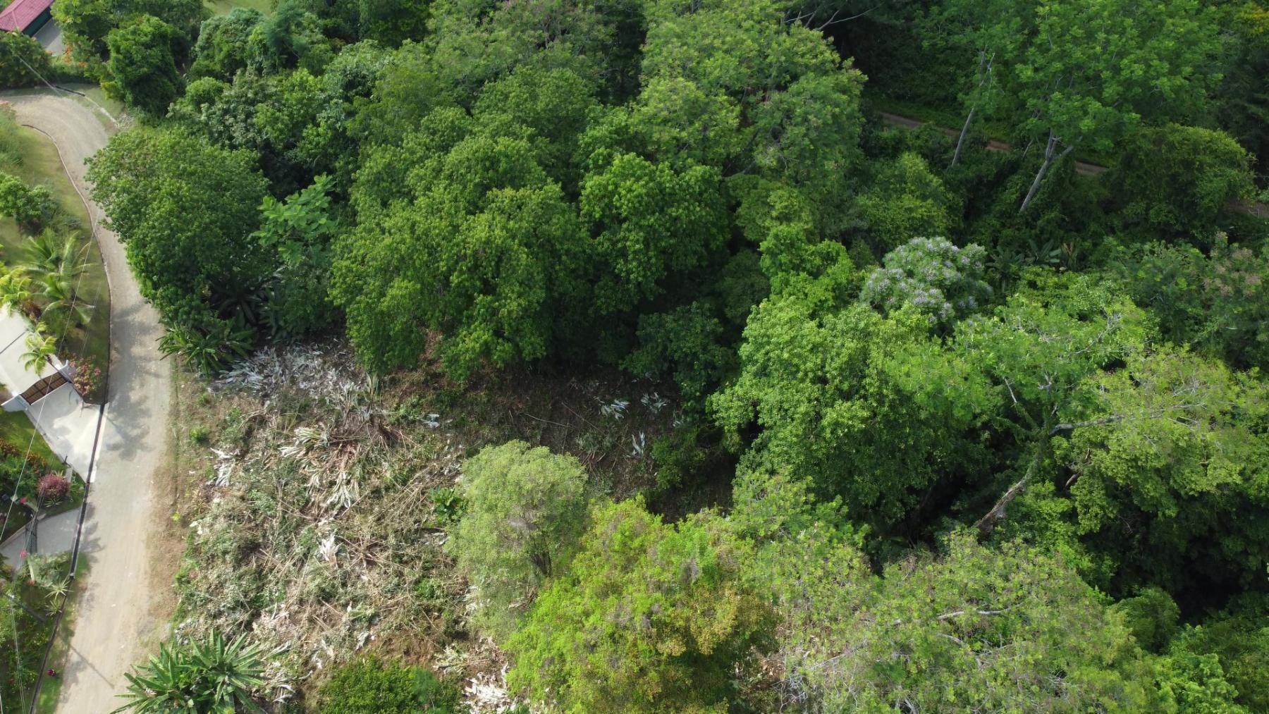 One Acre Build Ready Lot In Lush Jungle Setting, Ojochal, Bahia Ballena ...